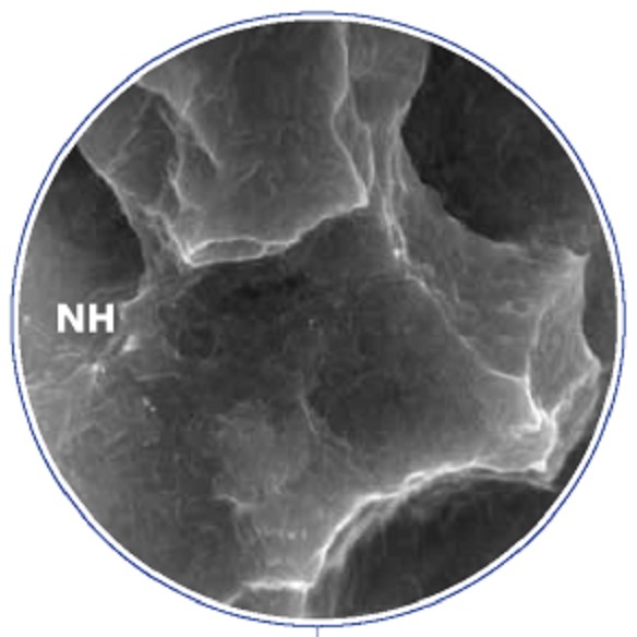 Basics of Dental Implant Surface Treatments - Hiossen